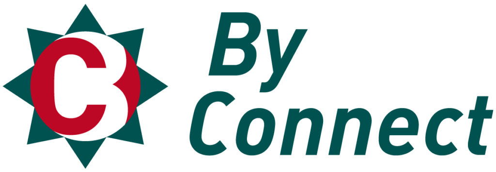 Switch Cisco POE 48 ports - By Connect